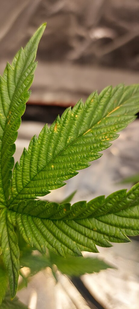 Confused and concerned - Growing Help - Grow with Jane Community