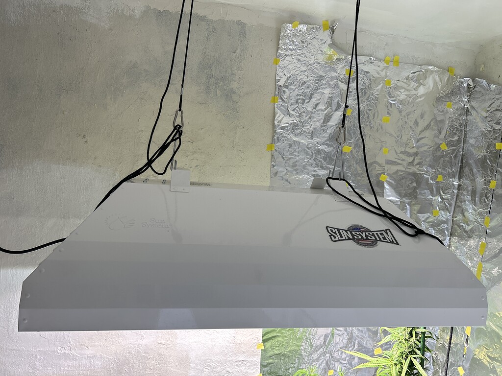 LEC lights - General - Grow with Jane Community