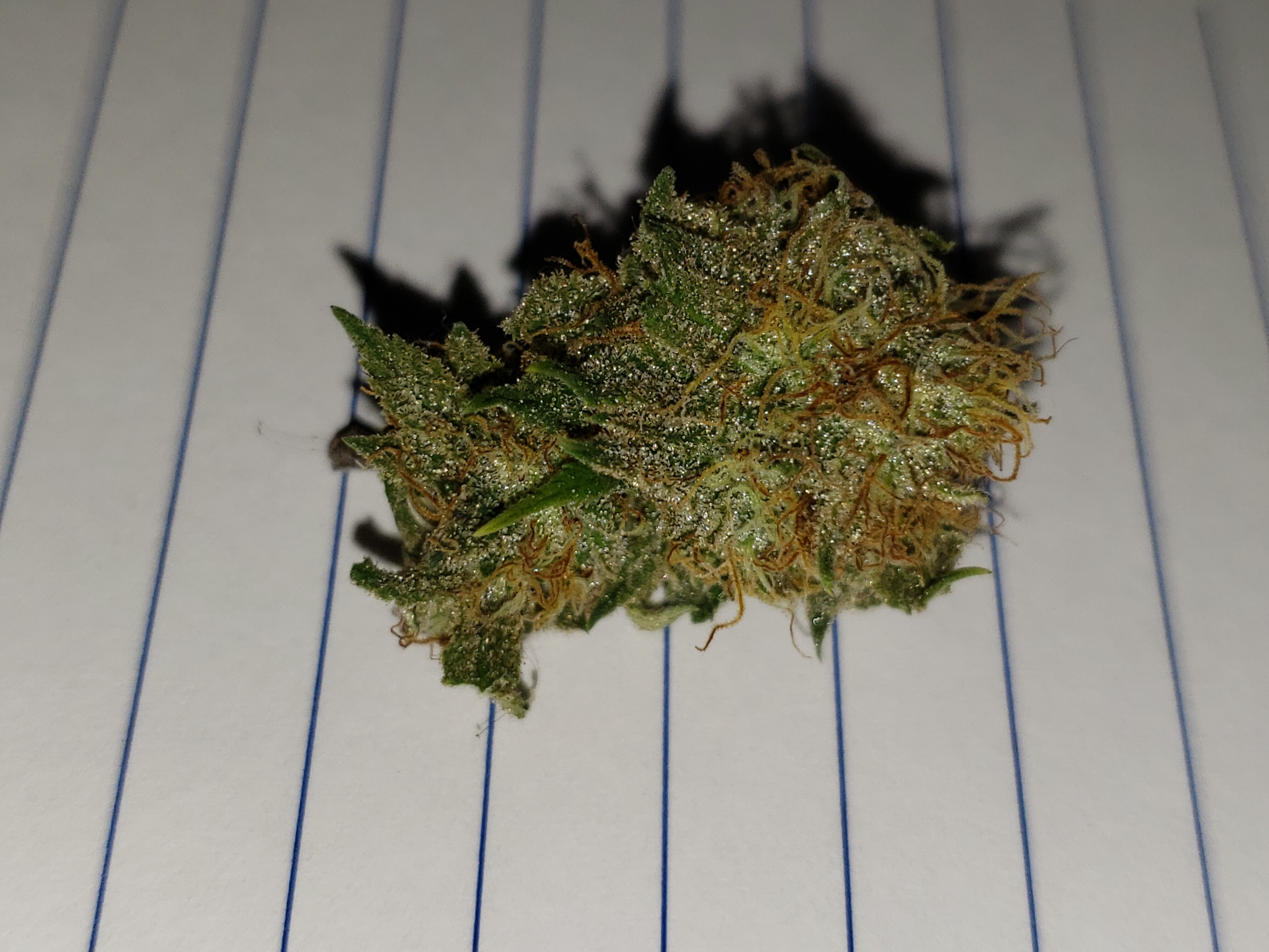 Help diagnosing leaf spots \ discoloration mid flower stage - 🙀 Growing ...